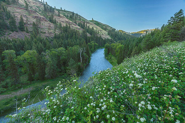 Minam project adds 4,600 acres | La Grande Observer