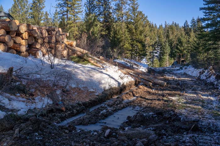 Red Apple Forest Management project underway at MERA | La Grande Observer