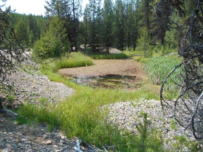 Upper Grande Ronde river restoration receives $285,000 | La Grande Observer