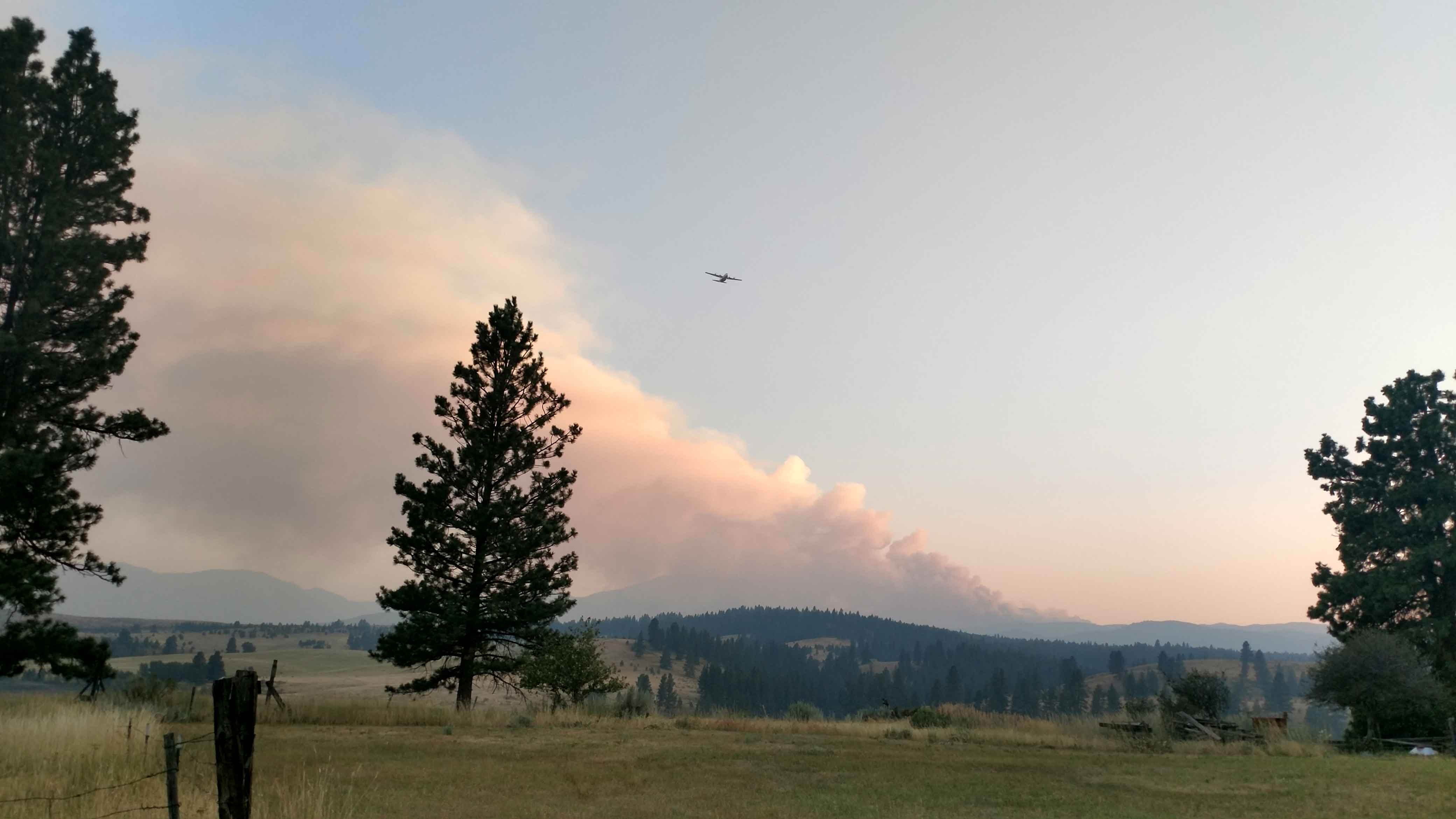 UPDATE: Bear Butte Fire holds same general footprint | La Grande Observer