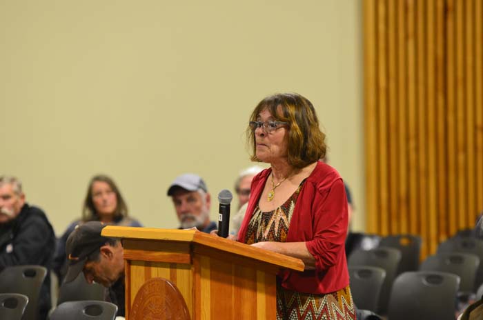 Opponents of B2H transmission line voice concerns during utility ...