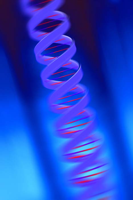 What would a test tube of pure DNA look like? | La Grande Observer
