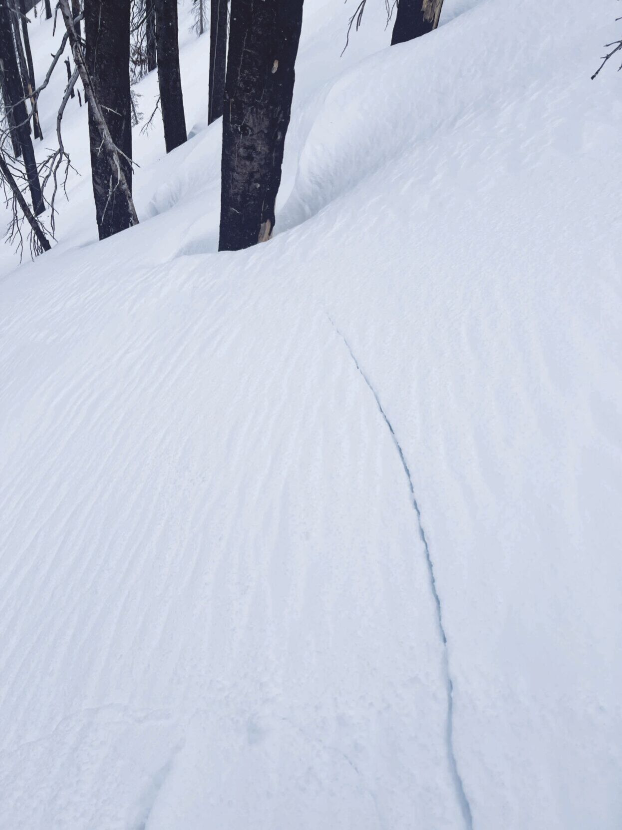 Avalanche forecaster: Abundance of snow can be less risky, in the long ...