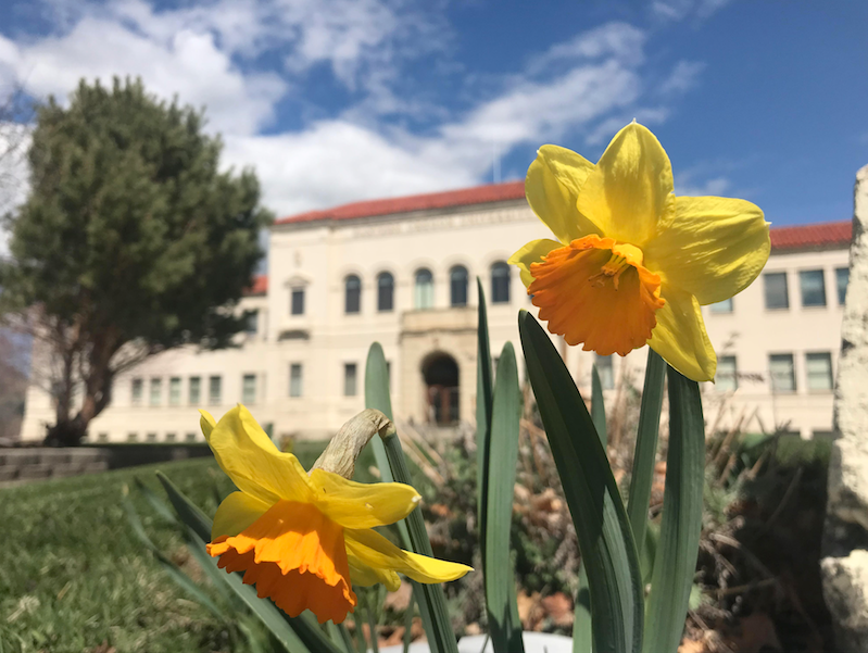 EOU launches one-stop Mountaineer information hub | La Grande Observer