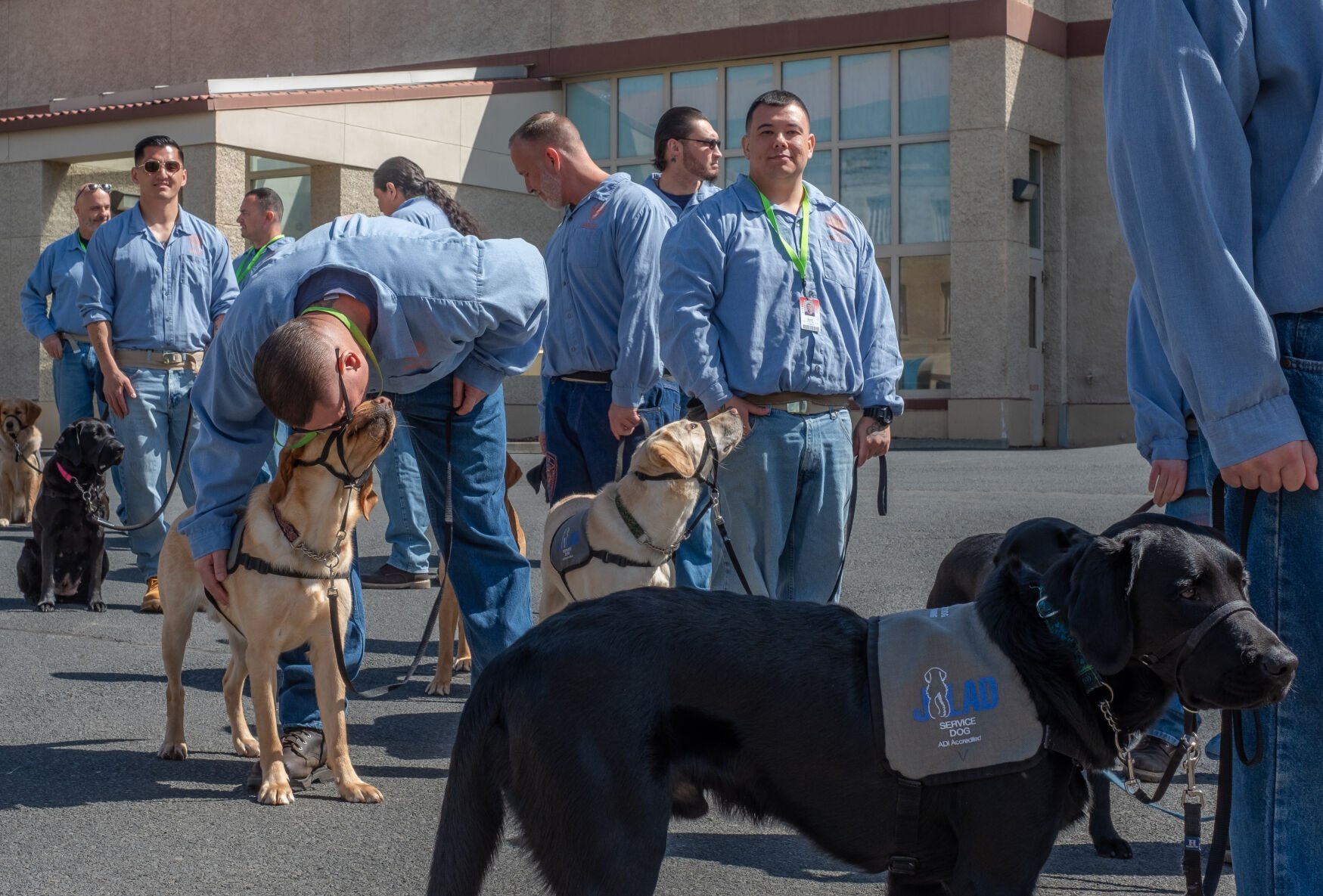 Service dogs graduate from Eastern Oregon Correctional Institution | La ...