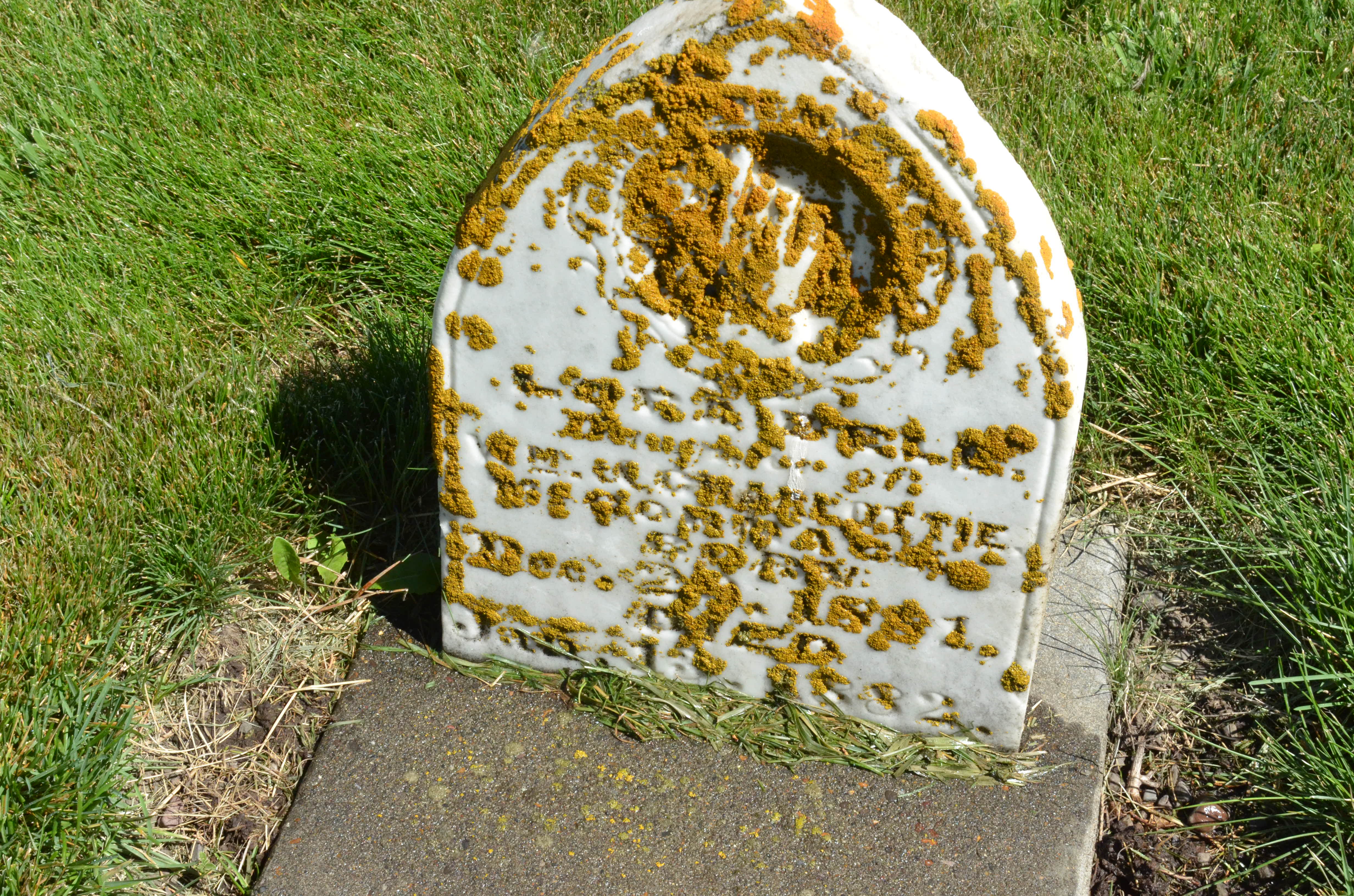 Grange takes on restoring Wallowa County headstones | La Grande Observer