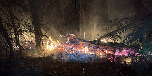 UPDATE: Wildfire reported on Mt. Emily outside Summerville | La Grande ...